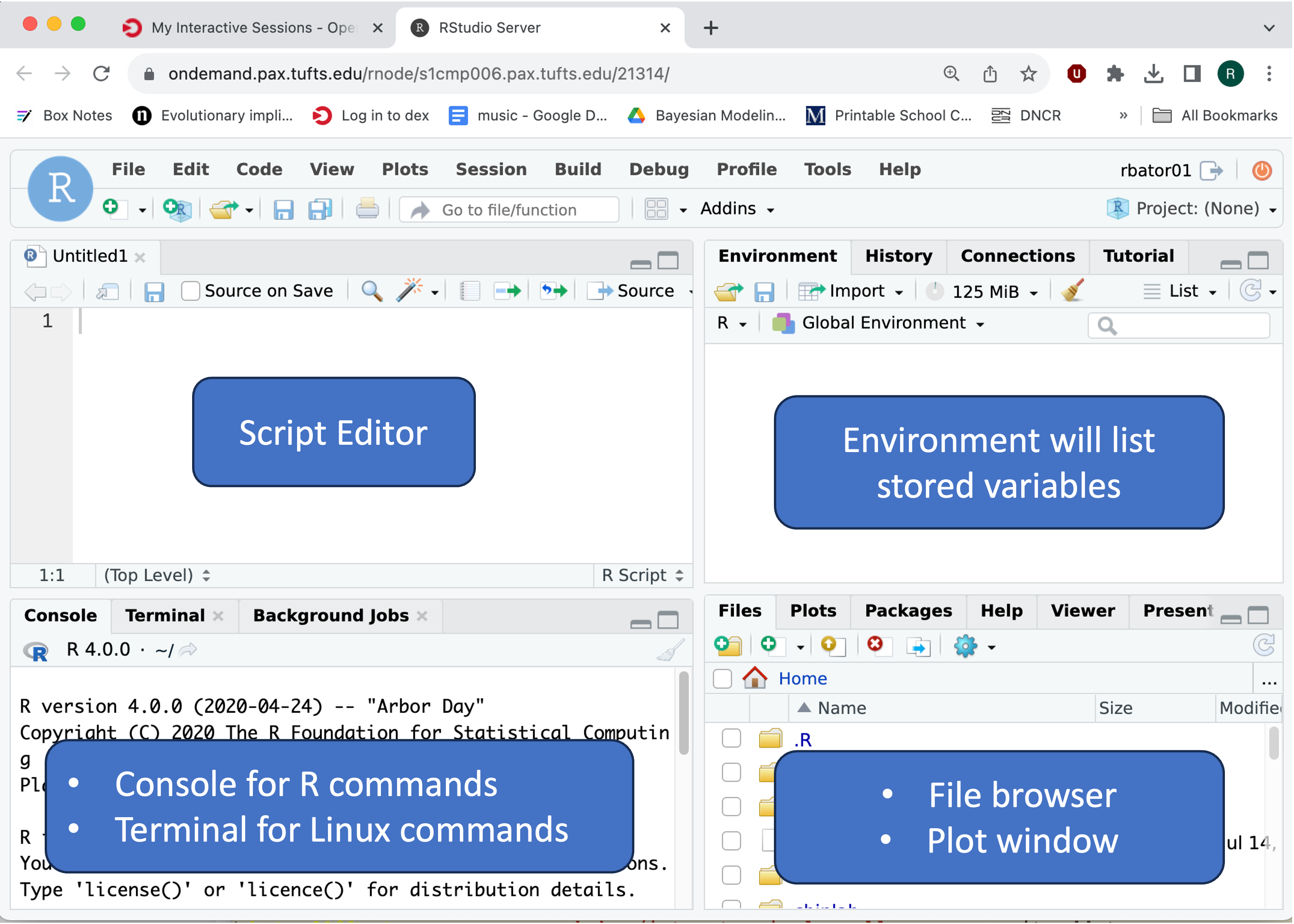 Set up - Bioinformatics Education and Services at Tufts